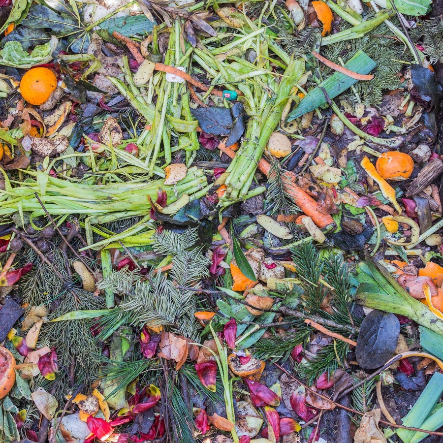 Composting: The Good, The Bad and The Ugly. on That's What I Call ...