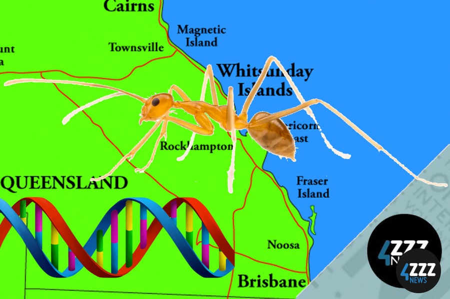 Brisbane Line Extra - May 1, 2023